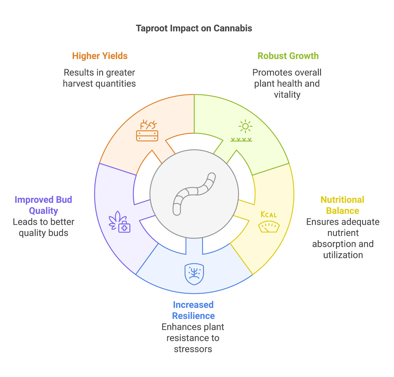 Understanding Taproot Development in Cannabis Seeds and Seedlings ...