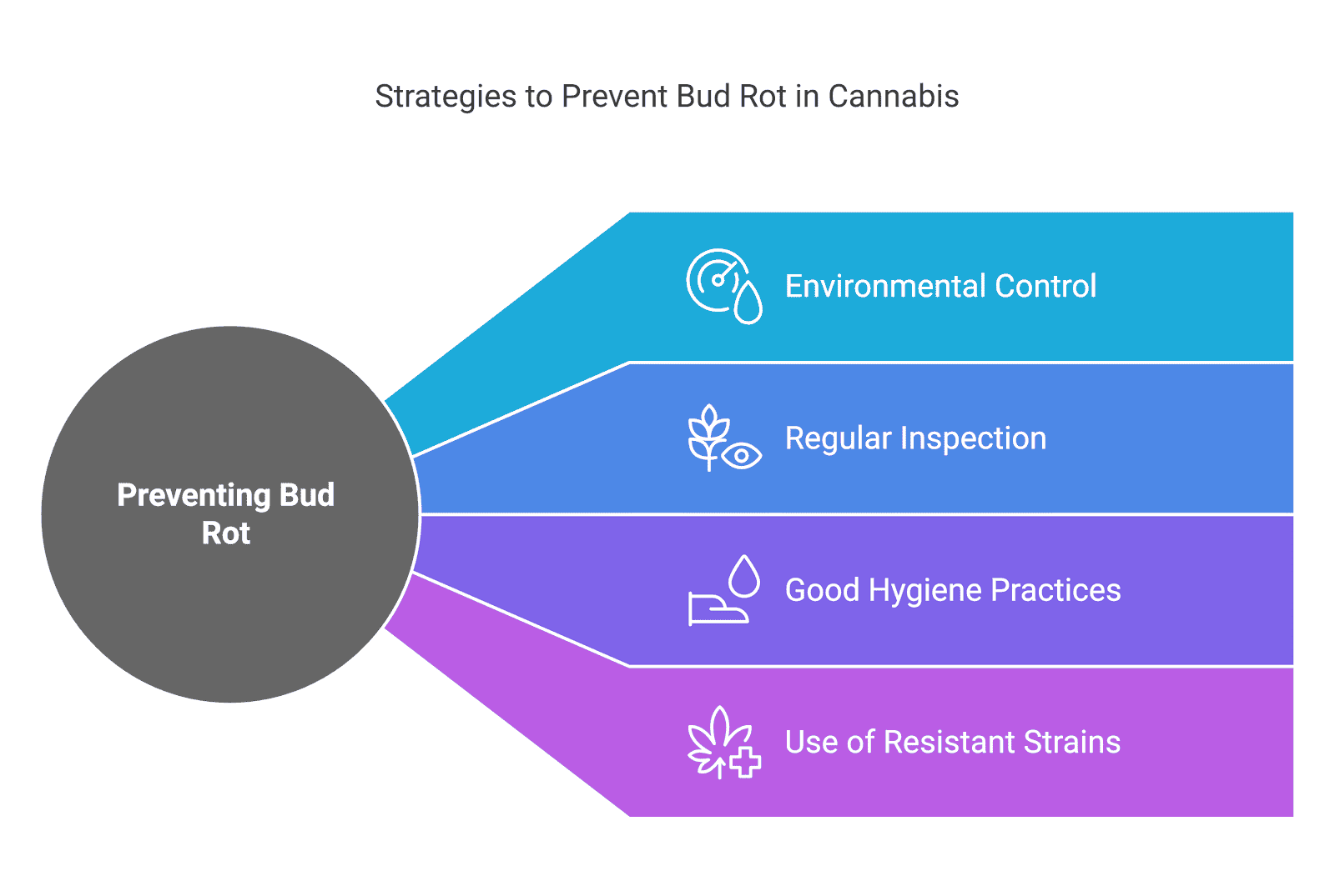 Cannabis Bud Rot: Causes, Prevention, and Solutions | Cannabis Shop