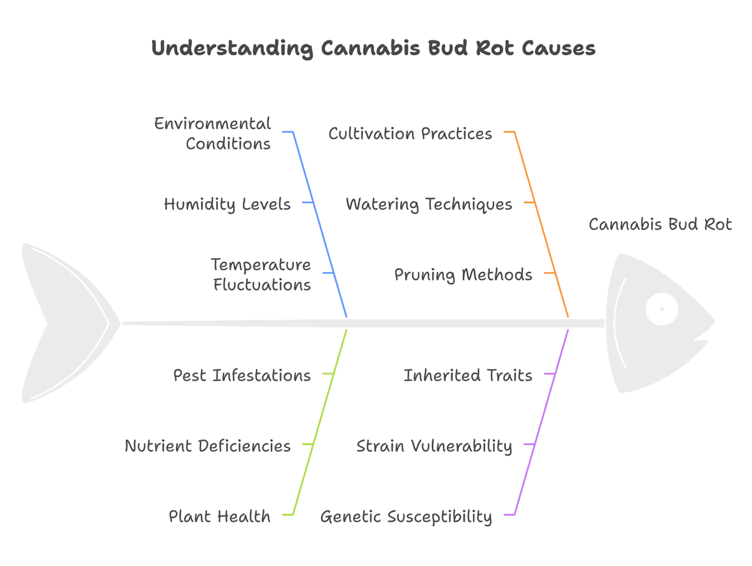 Cannabis Bud Rot: Causes, Prevention, and Solutions | Cannabis Shop