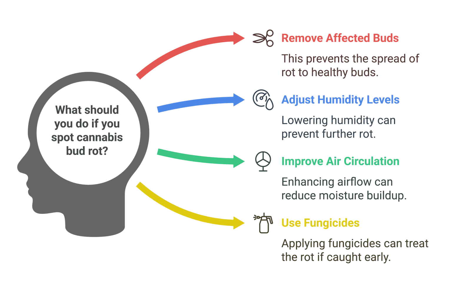 Cannabis Bud Rot: Causes, Prevention, and Solutions | Cannabis Shop