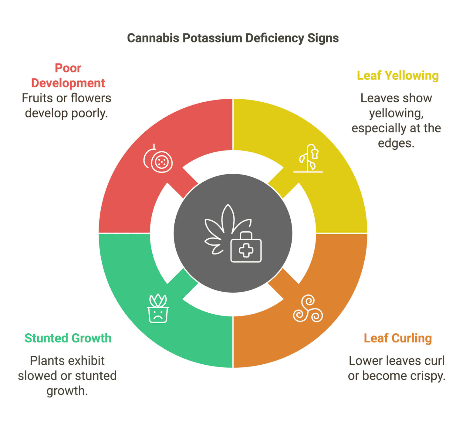 Understanding Cannabis Potassium Deficiency: Causes and Symptoms ...