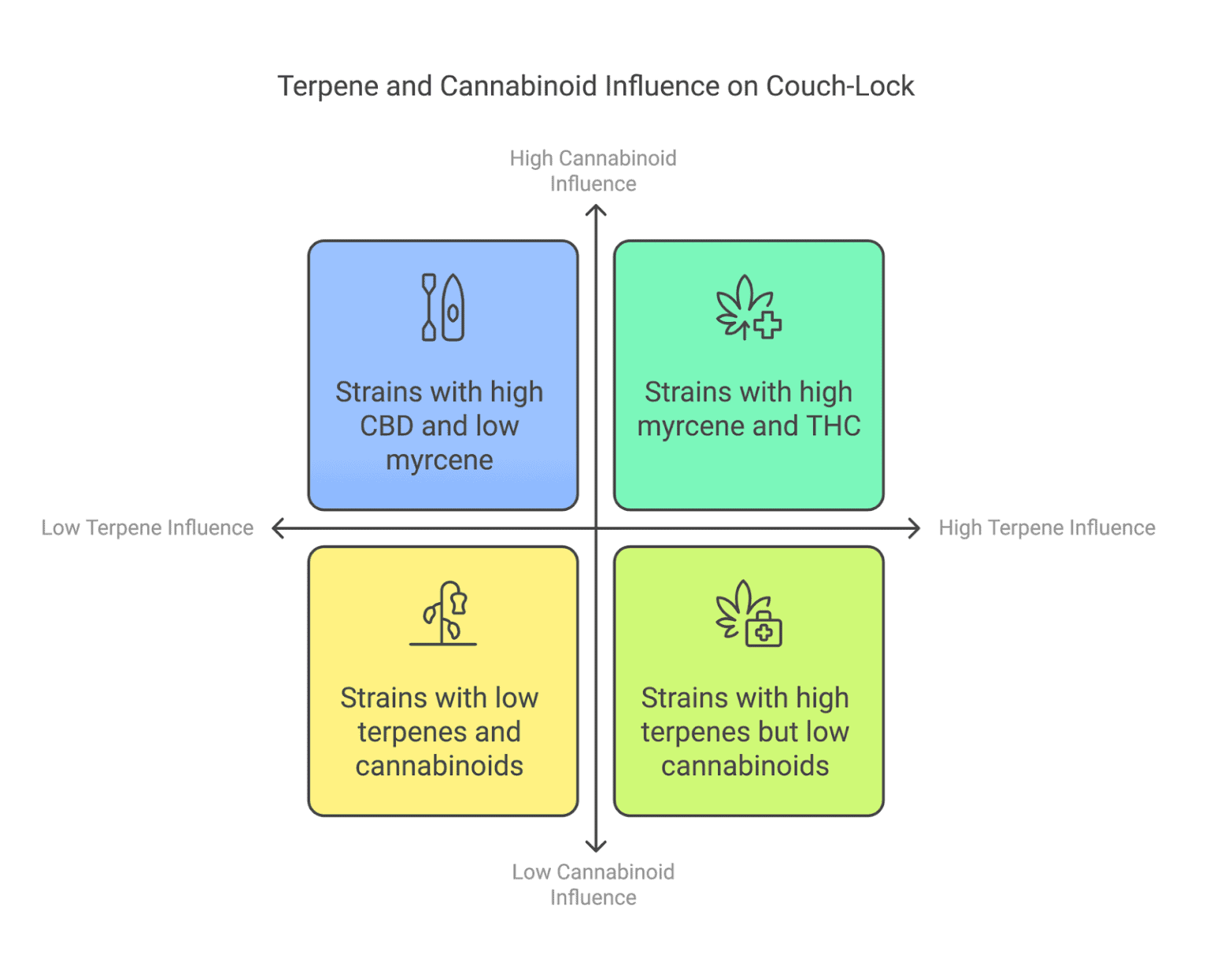 Exploring Couch-Lock: The Role of Indica and Sativa Strains | Cannabis Shop