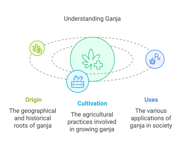 What Is Ganja and Why Is It Popular in Cannabis Culture? | Cannabis Shop