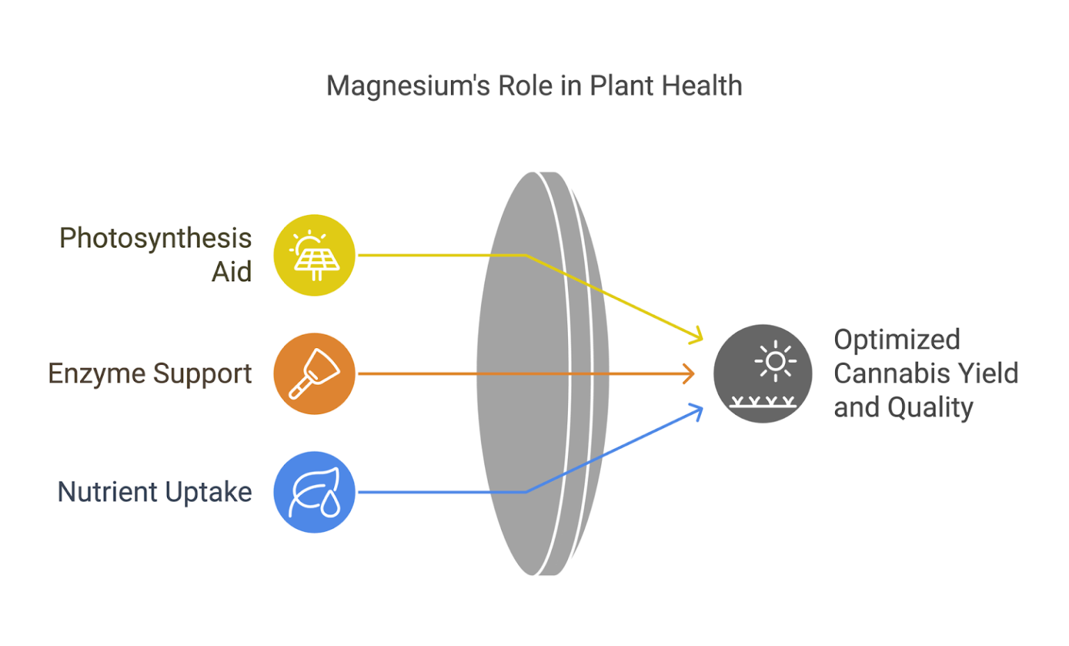 A Comprehensive Guide to Understanding Magnesium Deficiency in Cannabis ...
